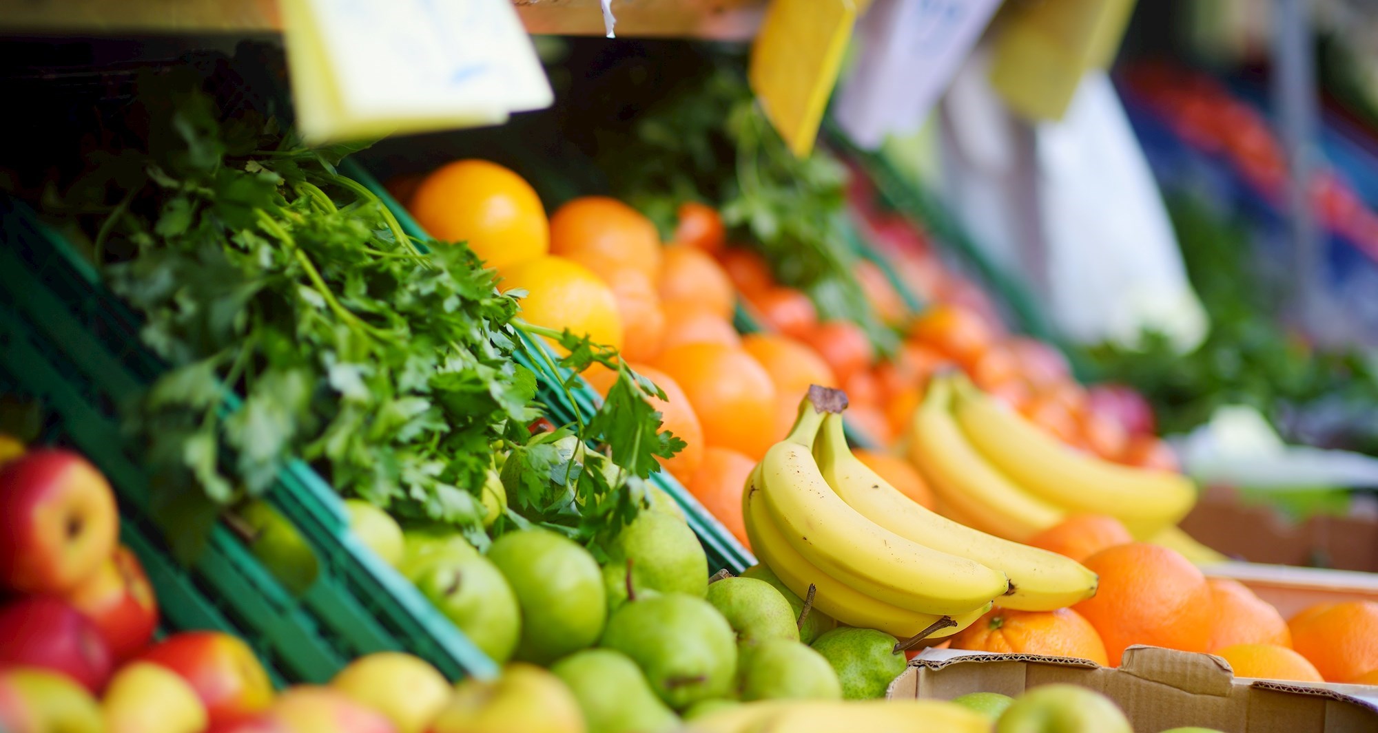 S tržišta se povlači celer list zbog povišene razine pesticida linurona ...