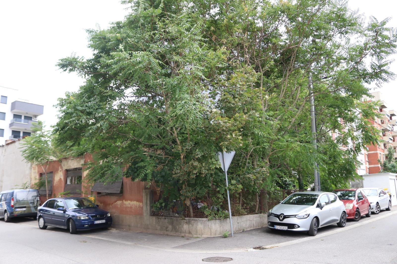 FOTO Ova kuća na Trešnjevci privlači pažnju prolaznika, priroda ju je ...