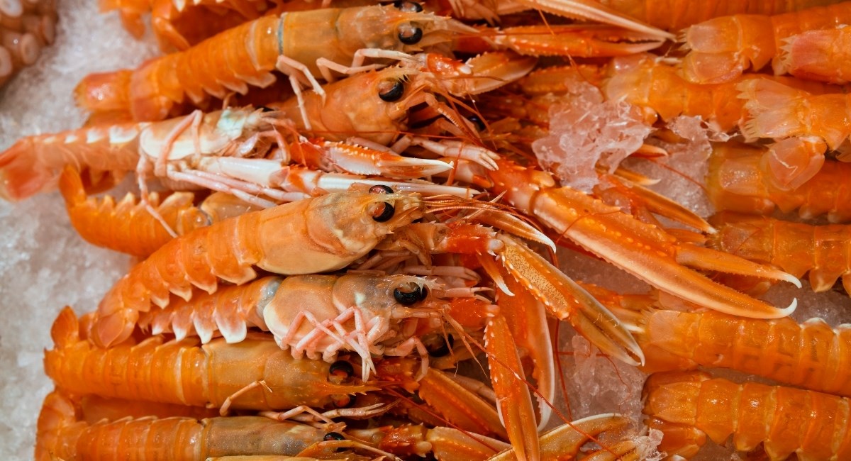 U Crikvenici se ovih dana održava festival posvećen škampima - Index.hr