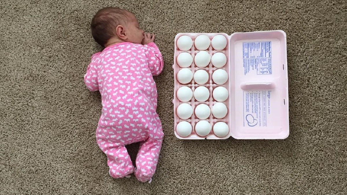 Pogledajte koliko su bebe zapravo malene kad se rode - Index.hr