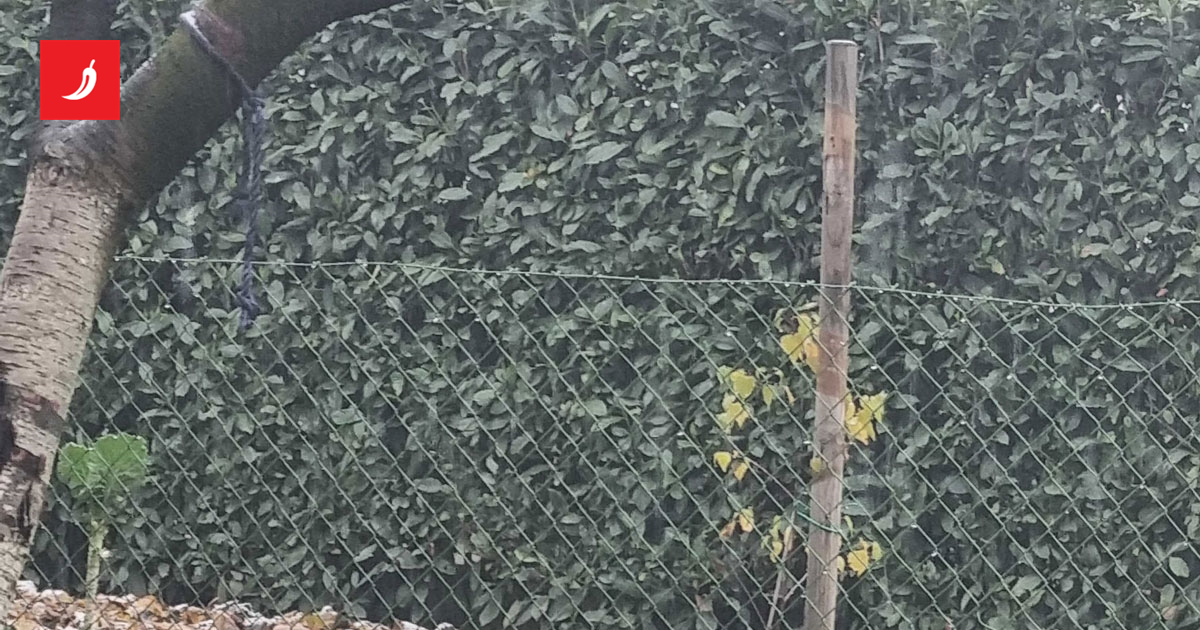 Diljem Hrvatske pada snijeg, i u Zagrebu - GREBZA.com Diljem Hrvatske pada snijeg, i u Zagrebu - GREBZA.com