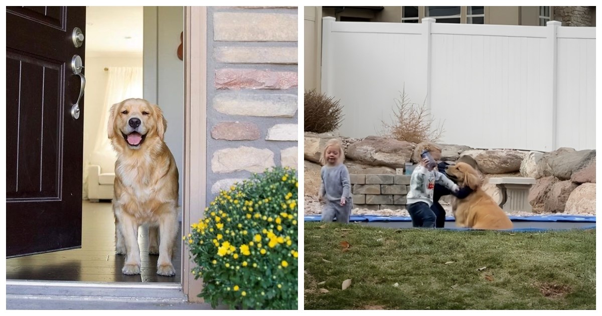 Ova snimka zlatne retriverice na trampolinu popravit će vam dan - Index.hr