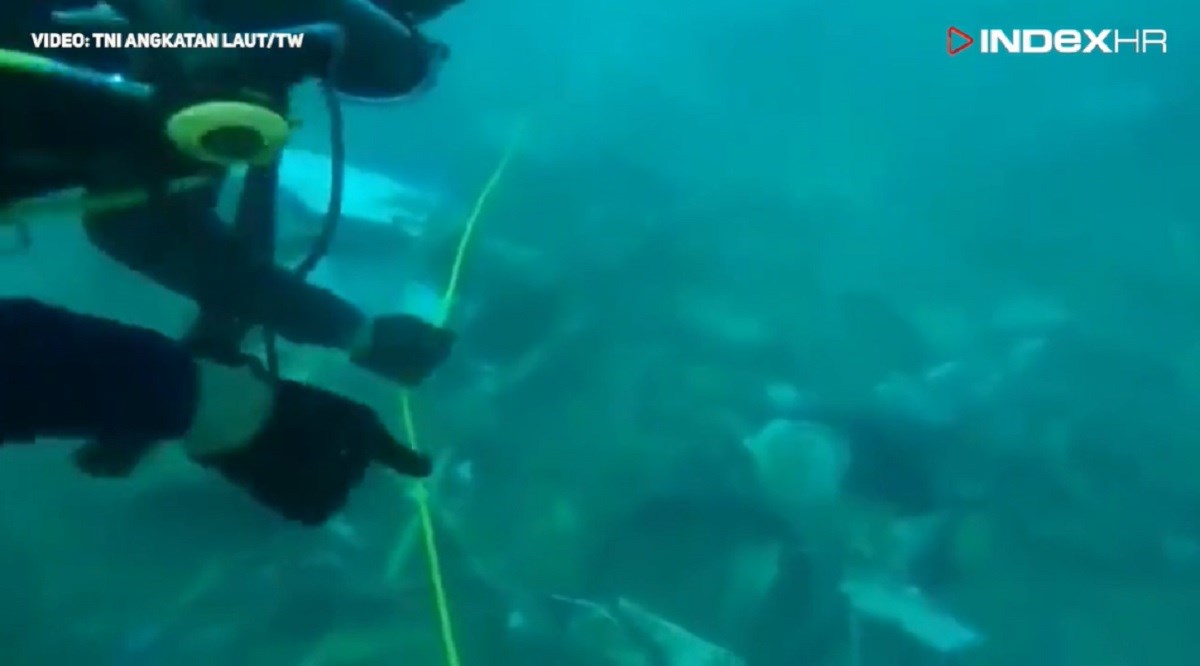 VIDEO Objavljena snimka olupine aviona u kojem su poginule 62 osobe ...