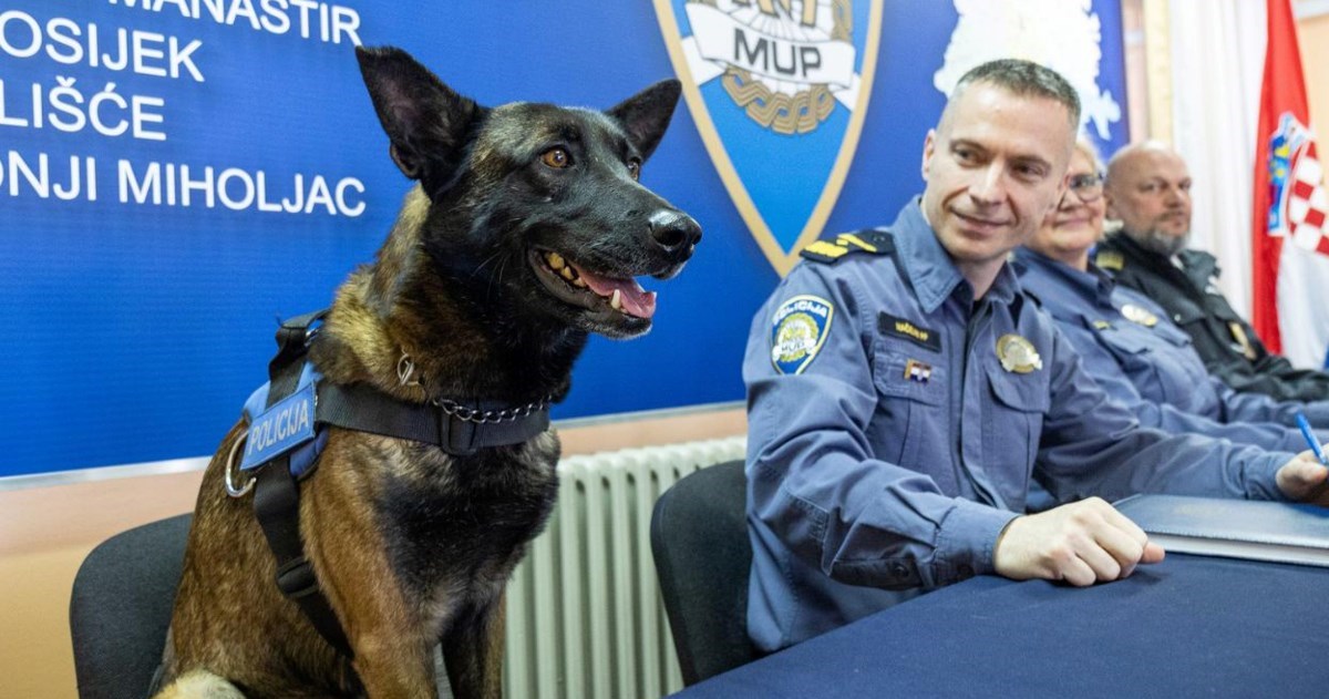 Policijski pas Don bio je zvijezda konferencije za medije, sjedio za ...