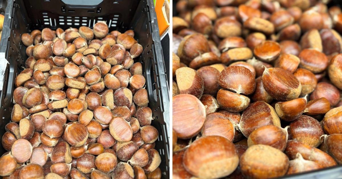 Najskuplji kesteni do sada - u supermarkete stigli prvi, evo koliko ...