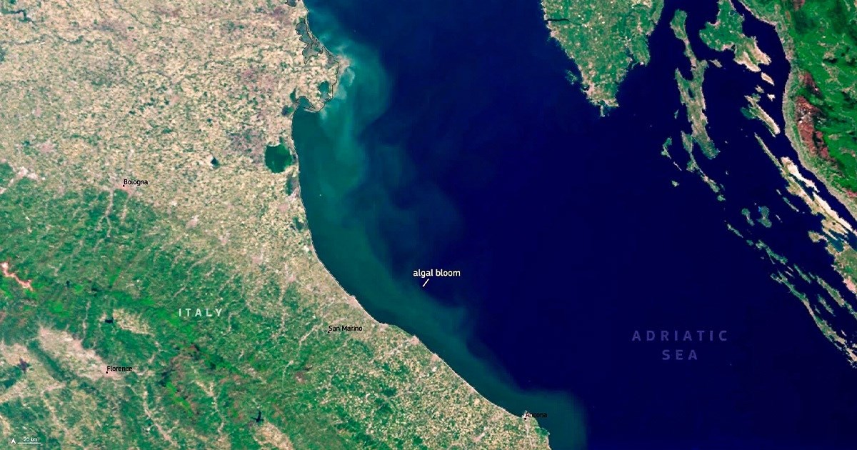 FOTO Cvjetanje mora na sjeveru Jadrana vidi se iz svemira. Znanstvenici ...