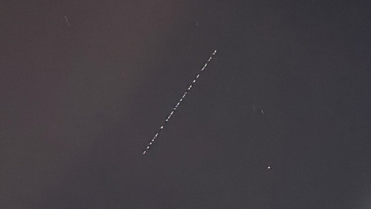 VIDEO Na nebu iznad Hrvatske opet se vide Muskovi sateliti - Index.hr