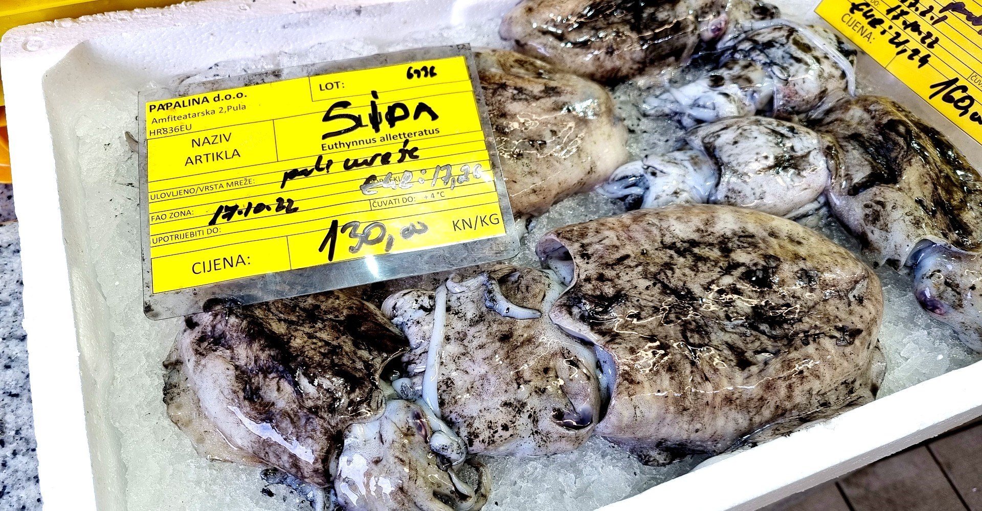 Sipa je nepravedno zapostavljena, ali vrlo ukusna rođakinja hobotnice i ...