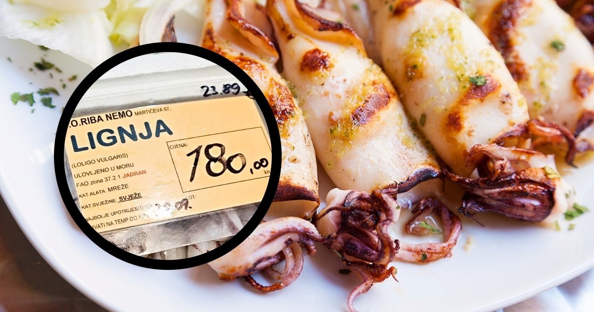 Počela je sezona jadranske lignje, saznajte sve o tome kako i koje ...