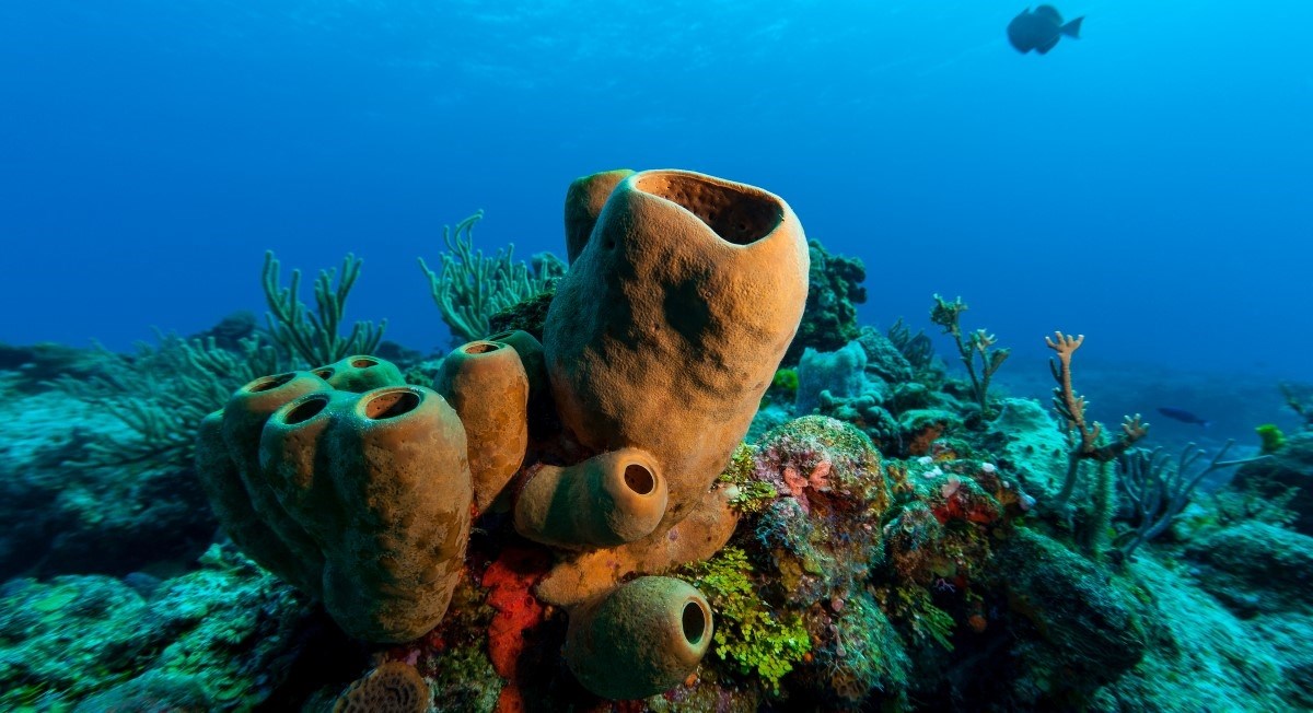 Studija: Globalno zatopljenje počelo ranije nego što se mislilo - Index.hr