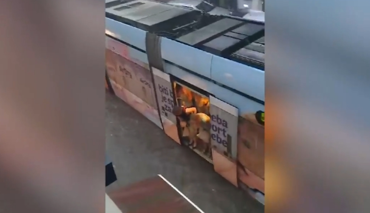 VIDEO Ovo je zagrebačka Ilica. Potpuno je potopljena, ljudi nisu mogli ...