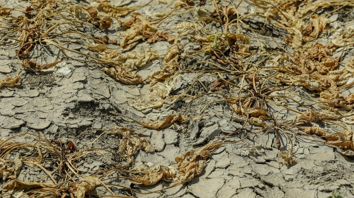 Petrinja prvi put ima plan djelovanja za prirodne nepogode - Index.hr