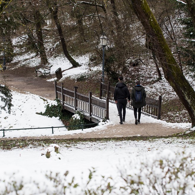 FOTO Snijeg zabijelio Park Maksimir, prizor je predivan - Index.hr FOTO Snijeg zabijelio Park Maksimir, prizor je predivan - Index.hr