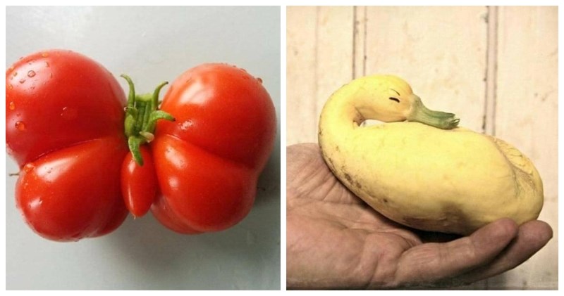 20+ dokaza da je priroda najveća umjetnica od svih! Fotke su ...