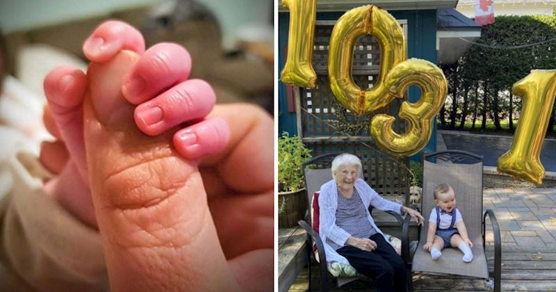 10+ dirljivih fotografija koje zrače pozitivom, prizori će vam izmamiti ...