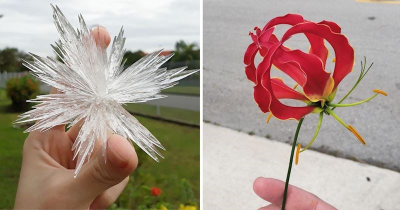 10+ nevjerojatnih prizora koji dokazuju da je majka priroda najbolja ...