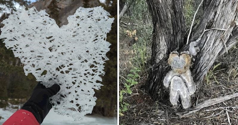 10 fora prizora koji dokazuju da nas majka priroda neprestano ...