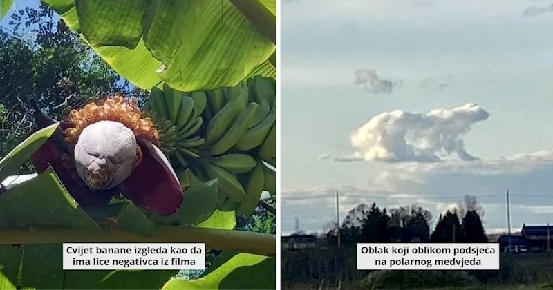 10+ nesvakidašnjih prizora koji su dokaz da nas majka priroda ...