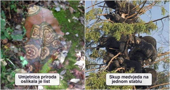 17 impresivnih prizora za koje je zaslužna majka priroda, ispast će vam ...