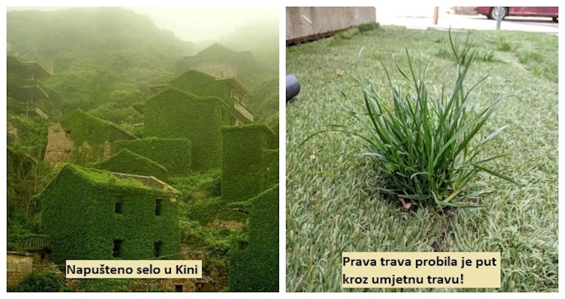 20+ fascinantnih fotki na kojima je priroda izborila svoj put i ...